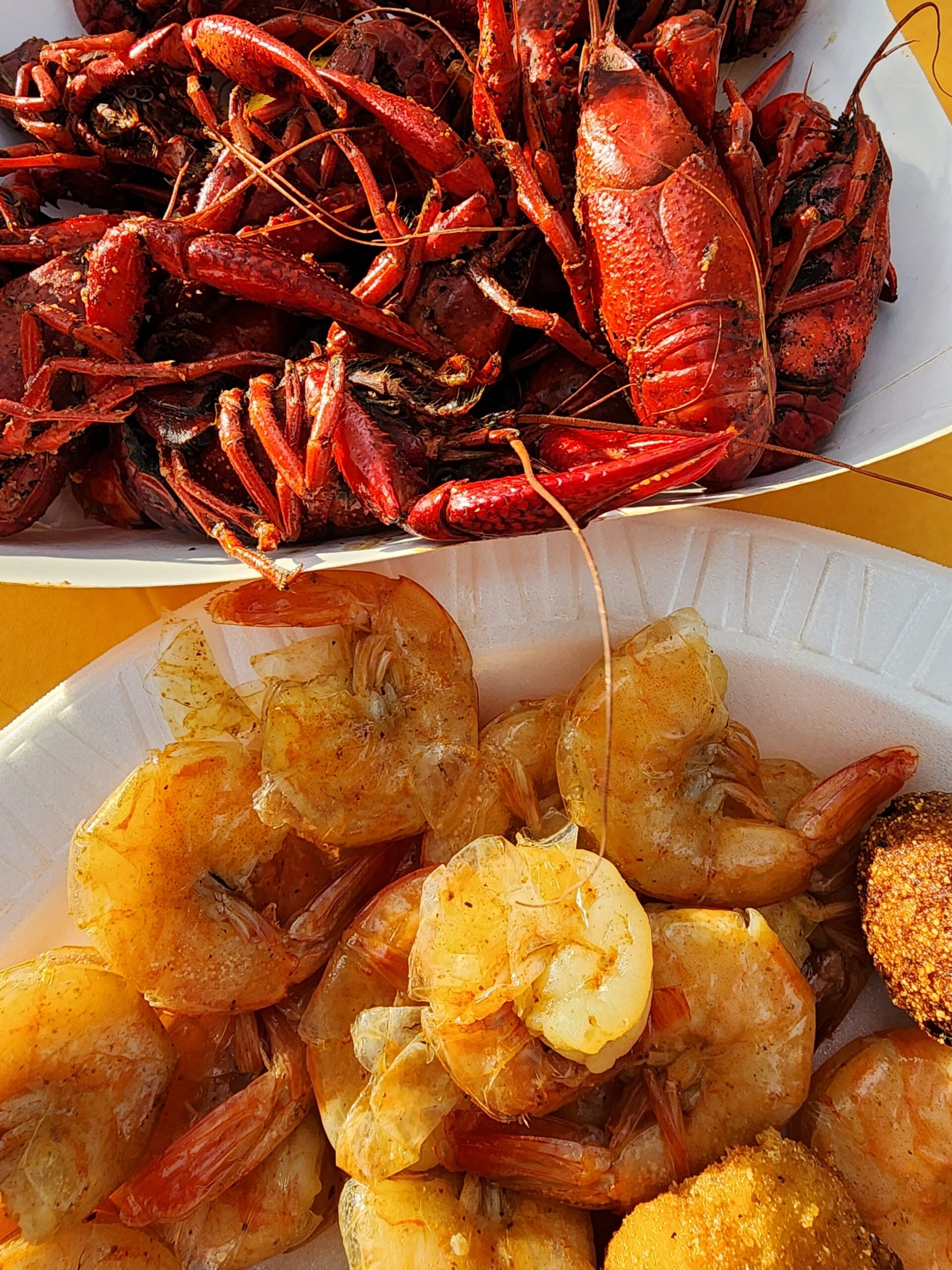 COMMUNITY - Whitehead's Cajun Fest a big success - 830Times