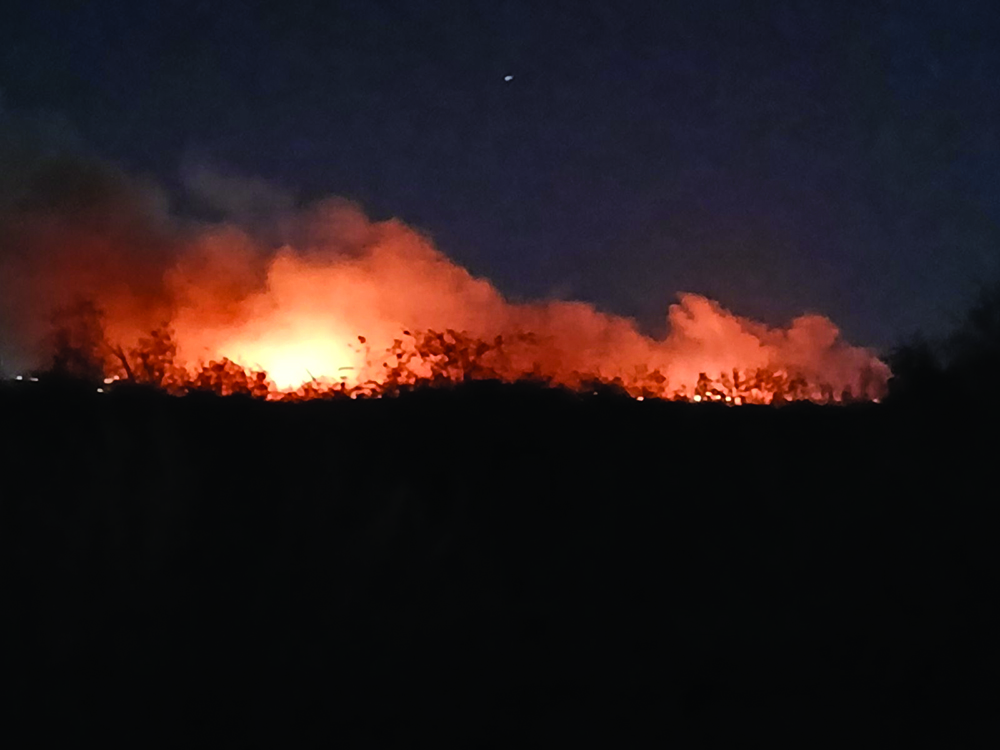 NEWS - County firefighters battle blaze near Rio Grande - 830Times
