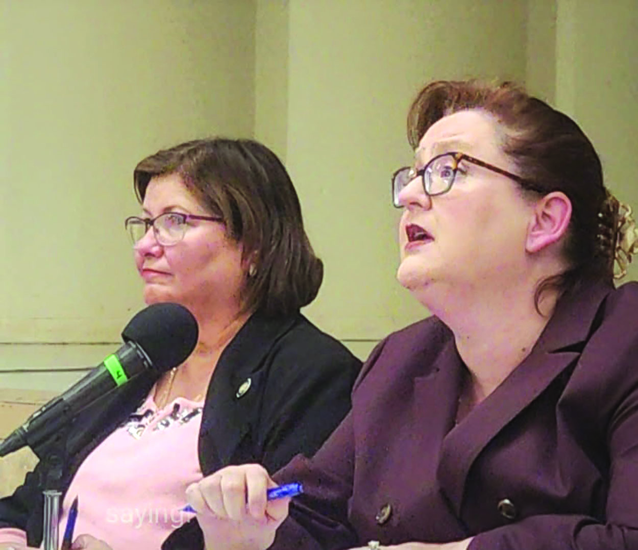 NEWS - Community turns out for Town Hall Forum; City manager explains ...